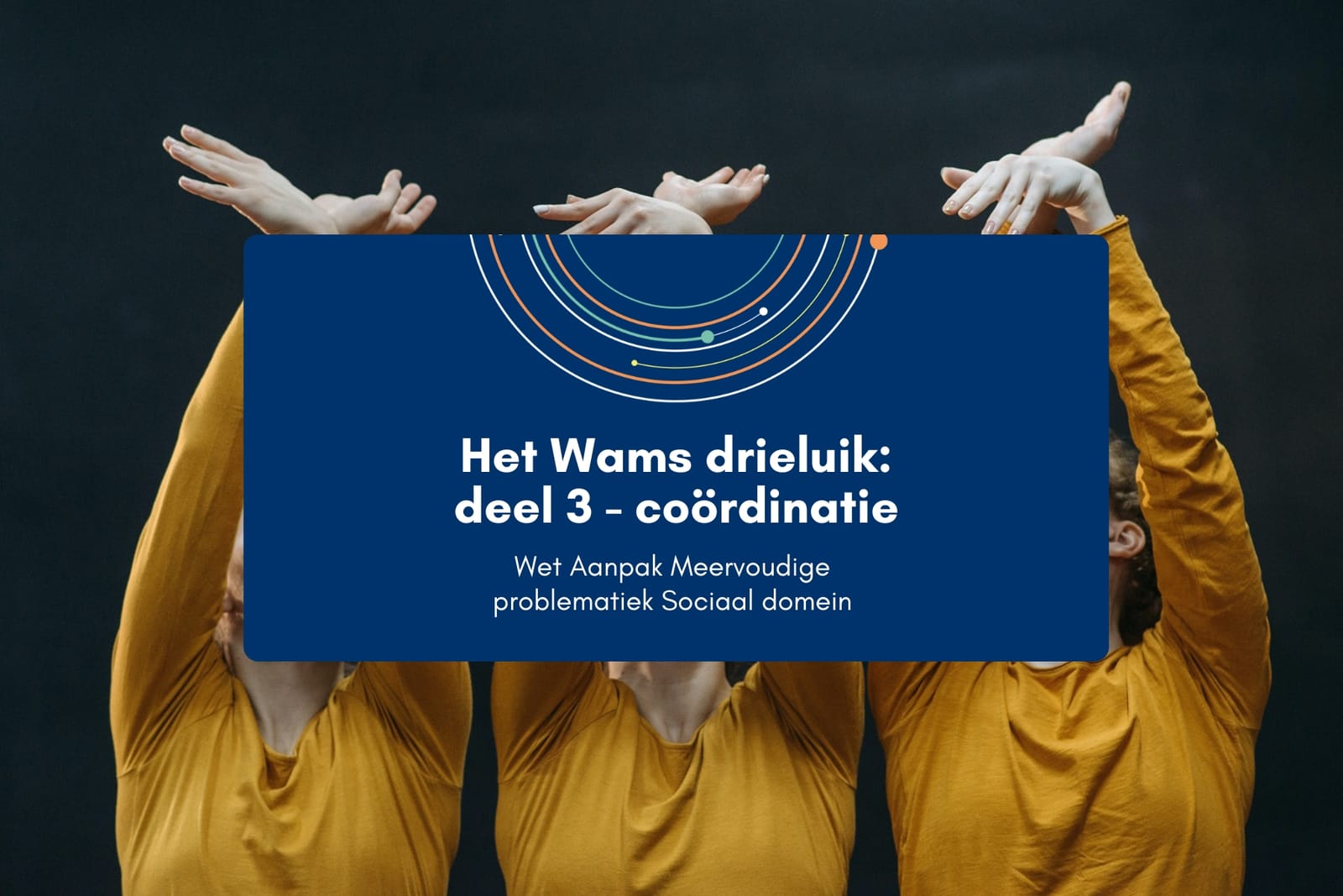 Het Wams drieluik – coördinatie
